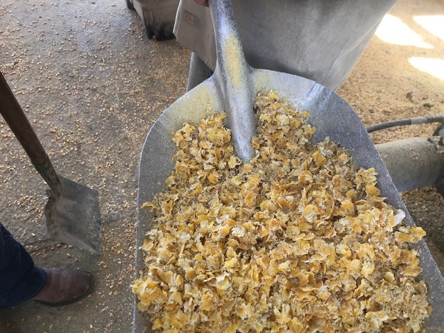 Grounded: Raising Kids with Integrity – Arizona Beef Blog