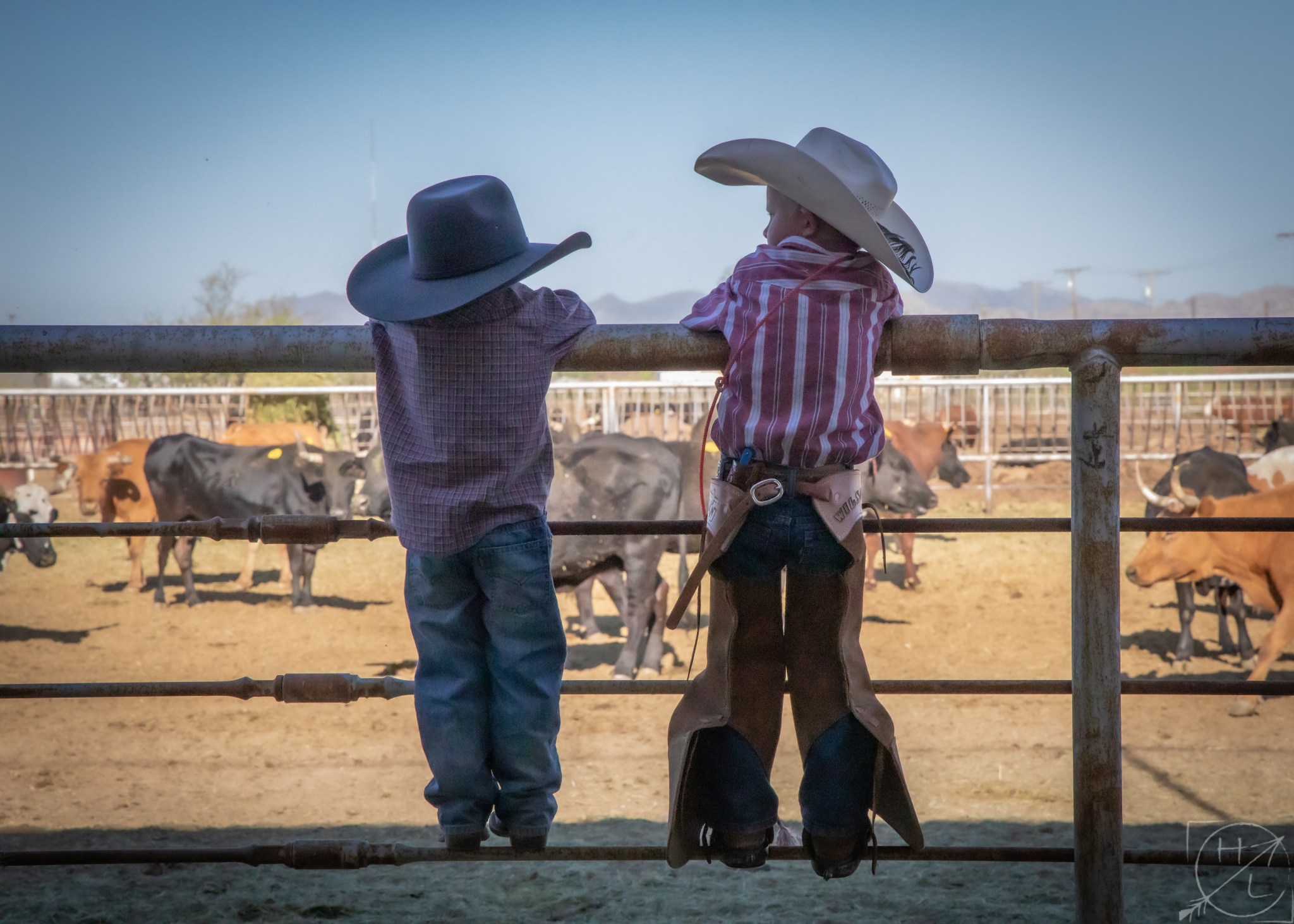 Meet Your Sale Barn Owners: The Shores Family – Arizona Beef Blog